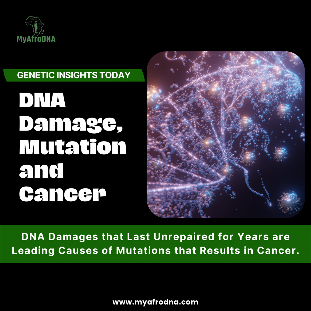DNA Damage,Mutation and Cancer – MyAfroDNA