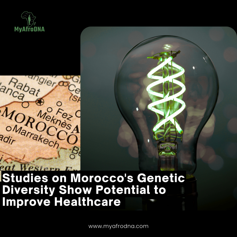 Revealing Morocco’s Genetic Diversity for Better Healthcare – MyAfroDNA