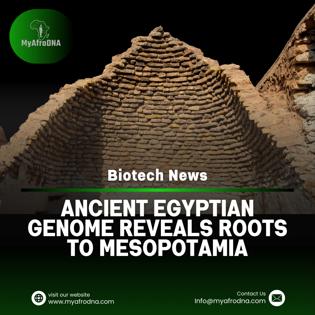 Ancient Egyptian Genome Reveals Roots to Mesopotamia – MyAfroDNA
